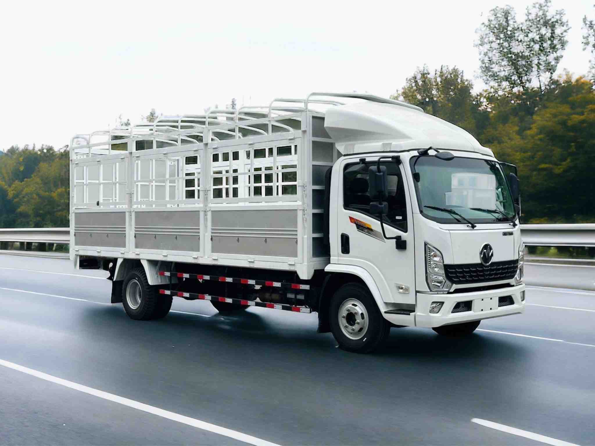 Xe Tải Chiến Thắng 8T1 Thùng Dài 6.2M Phiên Bản Cao Cấp 2024 - Xe tải ...